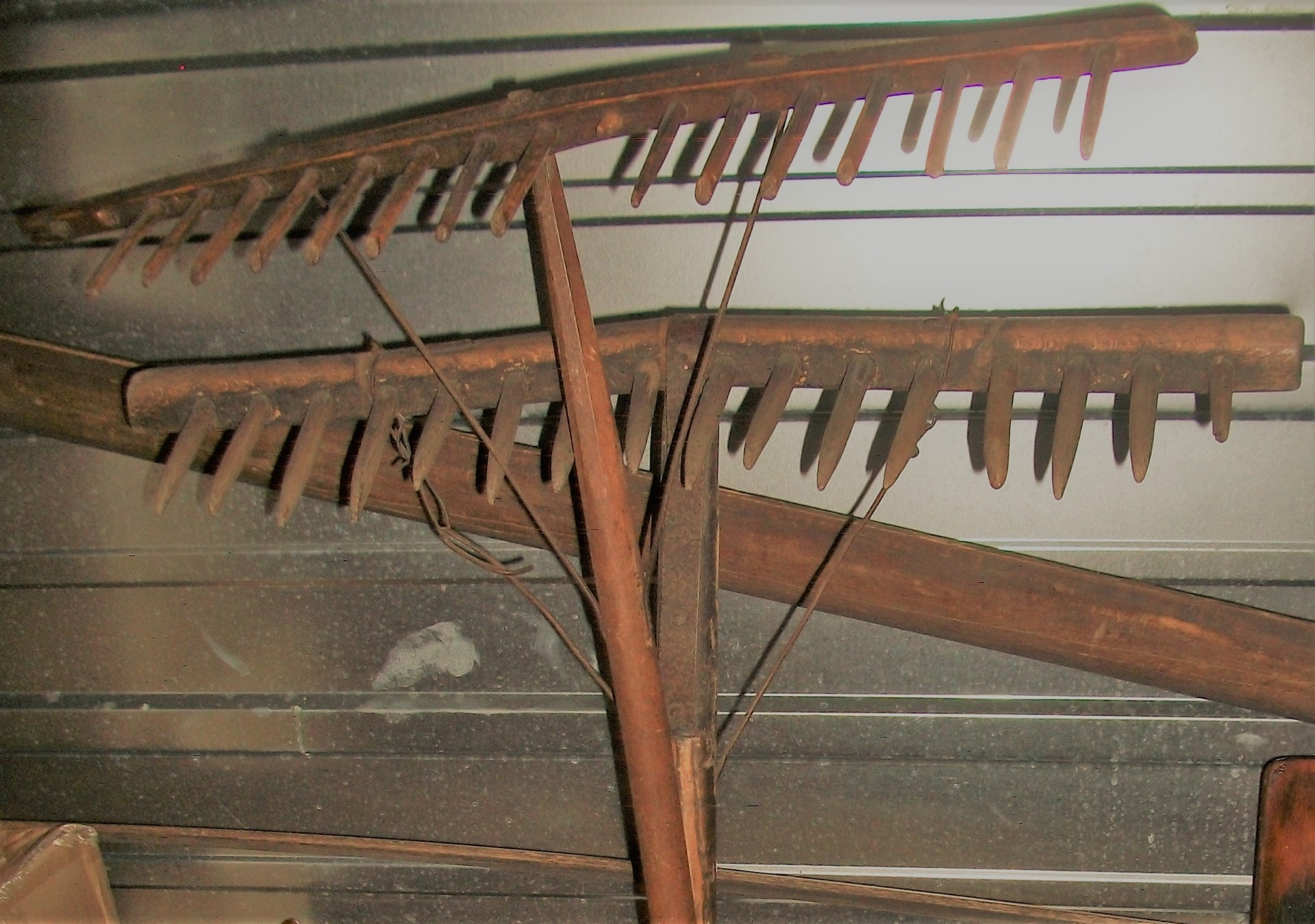 --FOOD GRAIN IN AG ARTIFACTS :: Nationalbreadmuseum